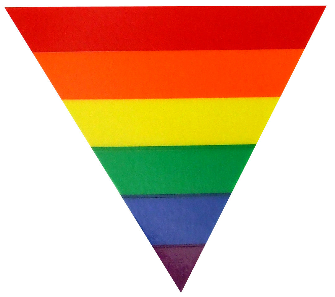 Rainbow Triangle Static Sticker– Little Sister's Book & Art Emporium